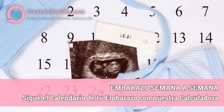 Embarazo Semana a Semana con nuestra Calculadora de 2022
